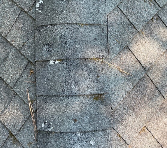 How to Get Rid of Algae on Roof Shingles | Myrtle Beach